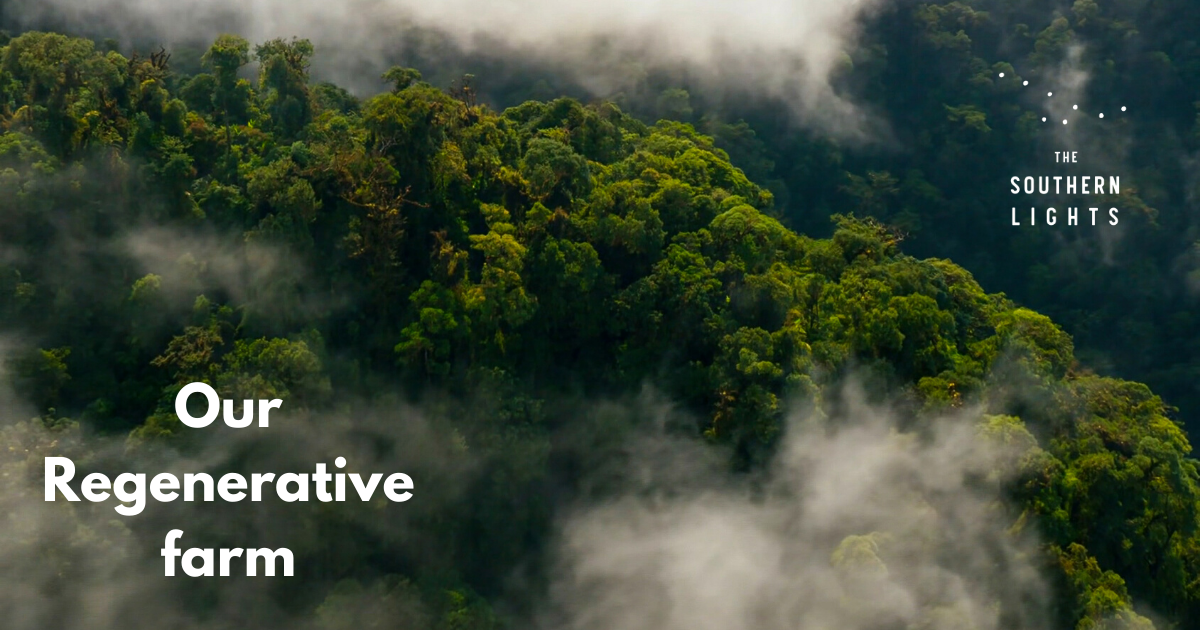 - The Southern Lights - How to convert your farm into a food forest - regenerative farming in Greece