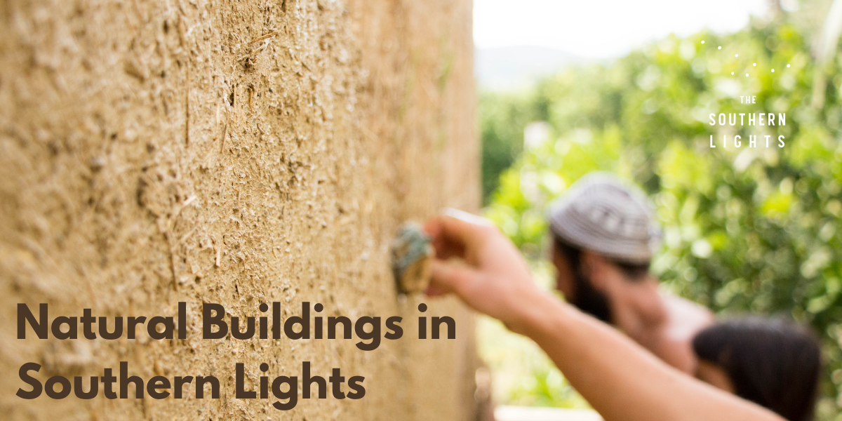 - The Southern Lights - How to convert your farm into a food forest ...